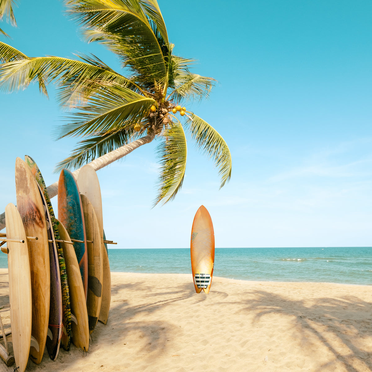 Gone surfing!! – Ozcorp Cards & Stationery