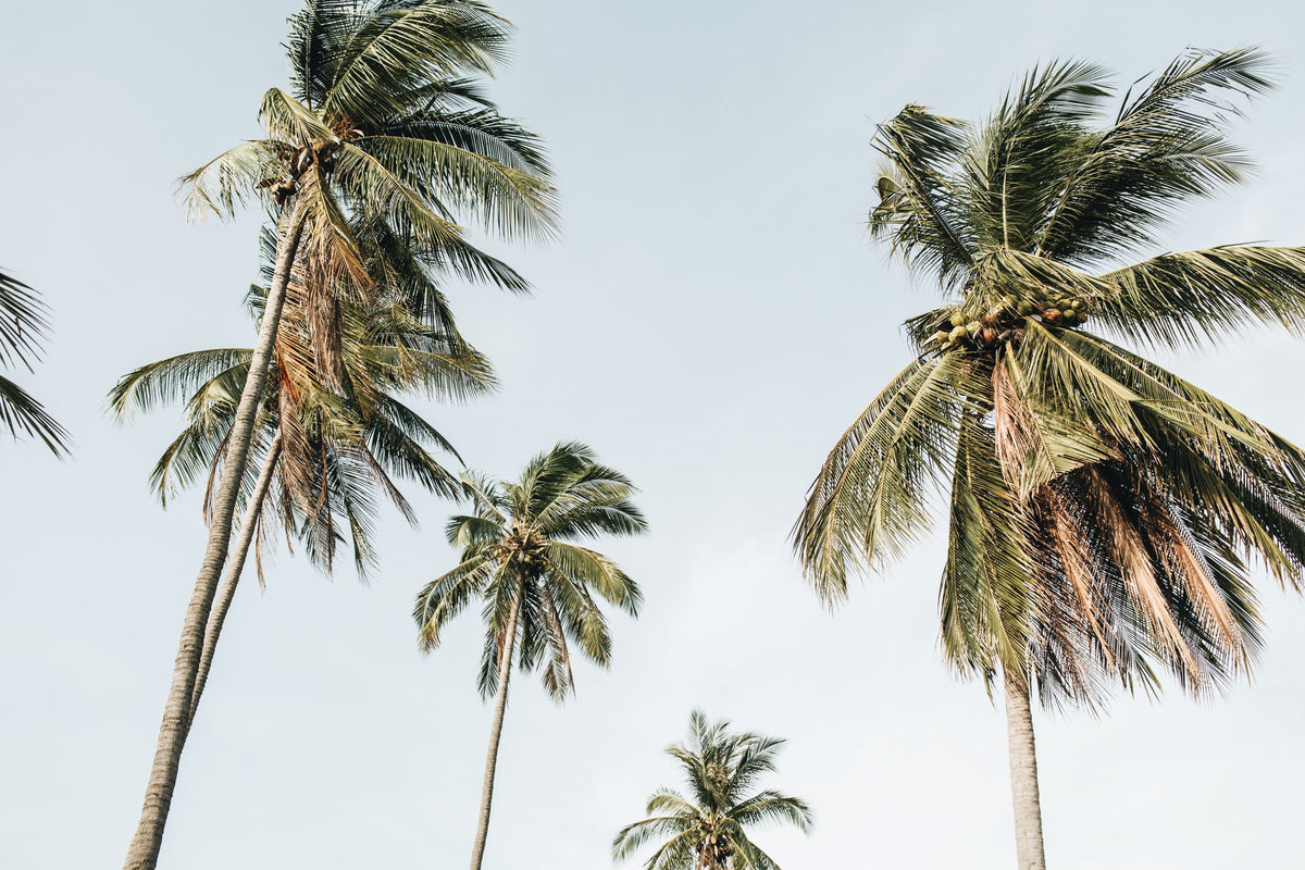 We're Back! – Ozcorp Cards & Stationery